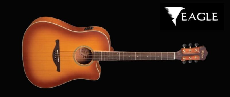 15 marcas de violão profissional: Yamaha, Takamine,e outras